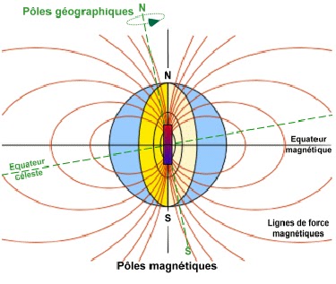 Les oiseaux et le champ magnétique terrestre: I. Caractérisation du ...