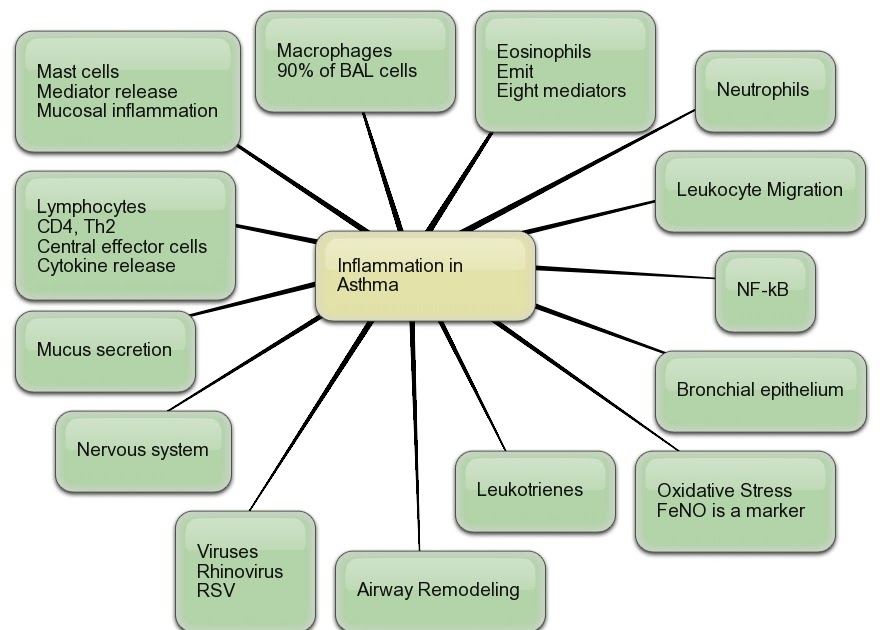 Asthma Mind Map Process Medical Concept For Presentat