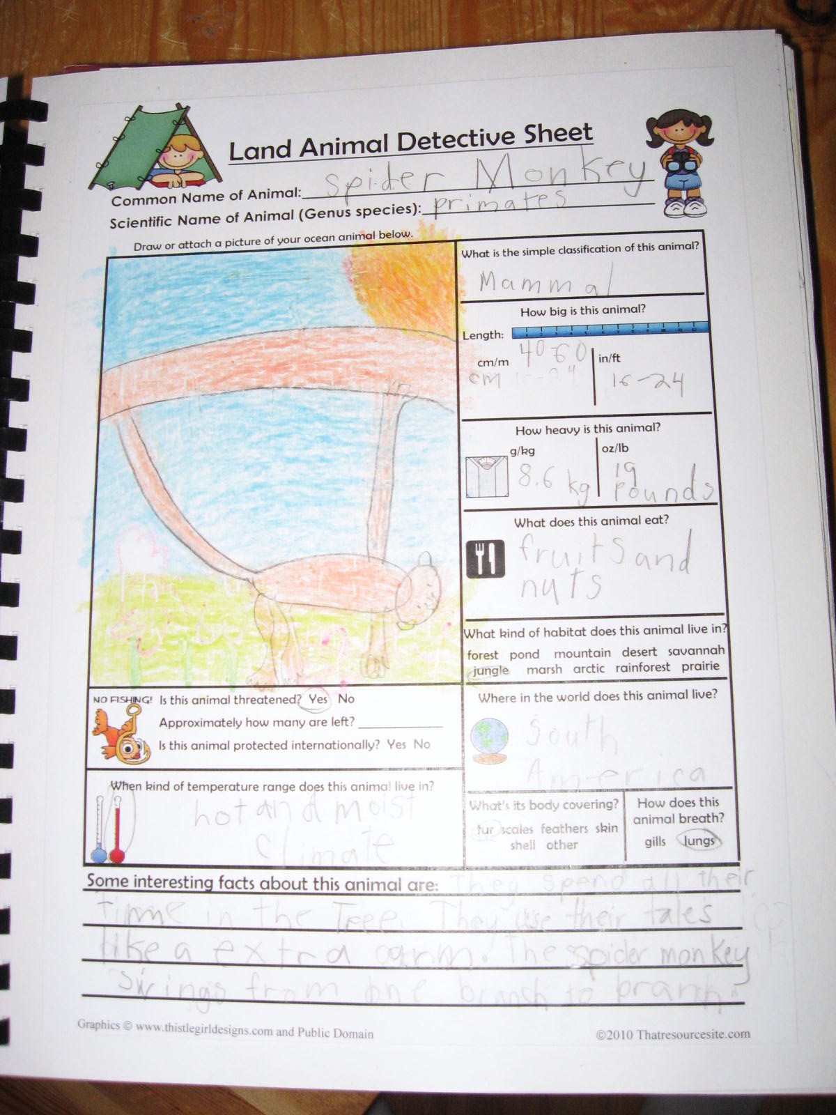 That Resource Site: New Science Detective Sheet for Kids