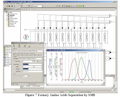 CHEMICAL ENGINEERING SIMULATION: Role of SMB Chromatography Process ...