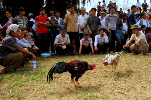 Xin Chao Vietnam: Traditions