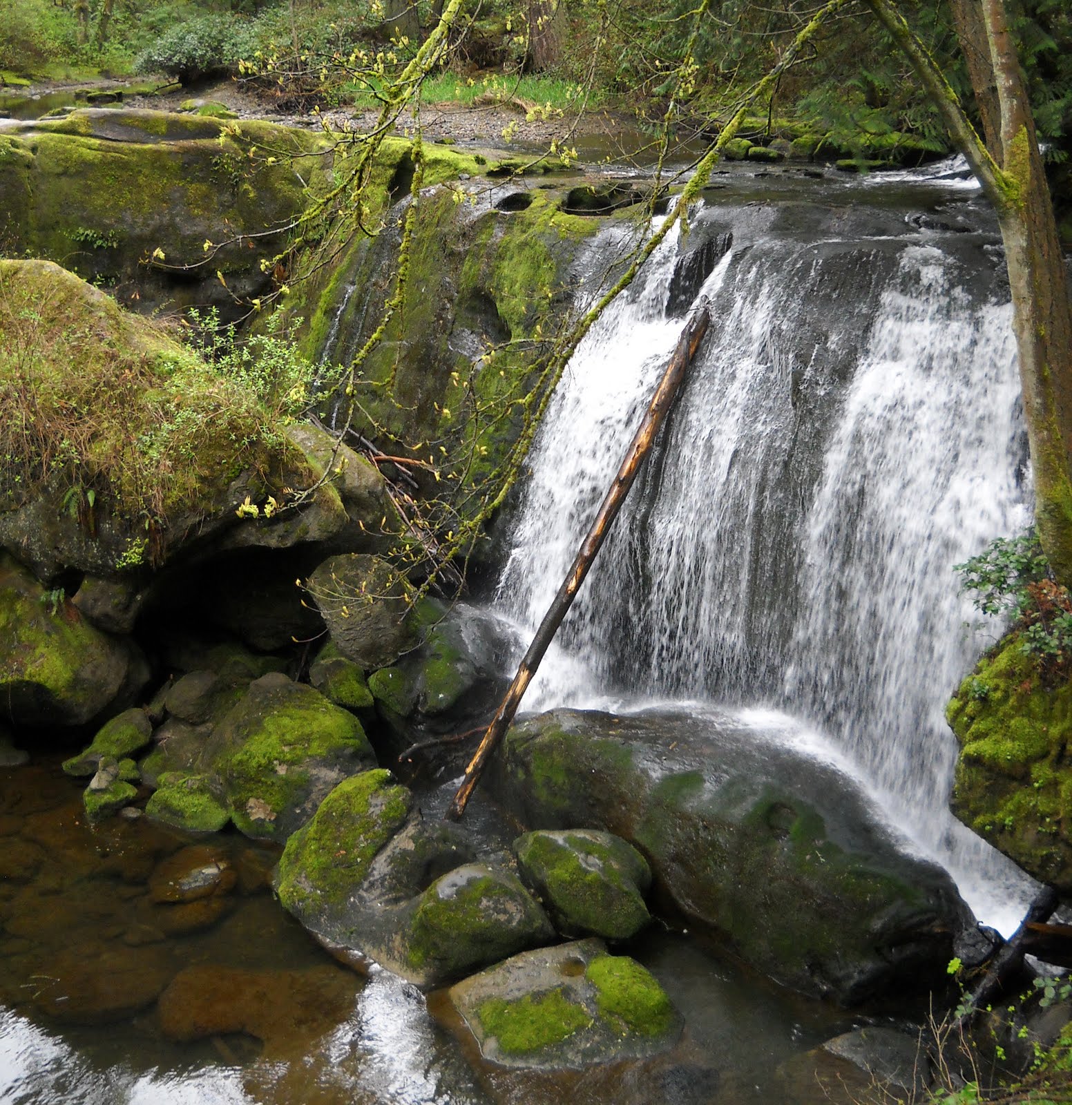 Bliss, Rellies and Danish Citronfromage Uden Flødeskum | ramblingtart