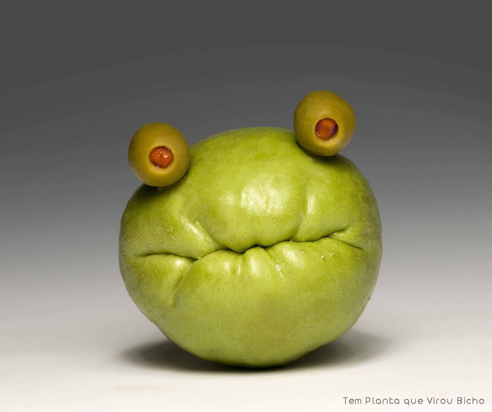 Livro infantil Tem Planta que virou Bicho!: Lazer para Crianças - como ...