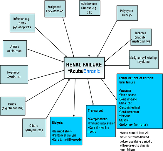 Classification of Renal Failure