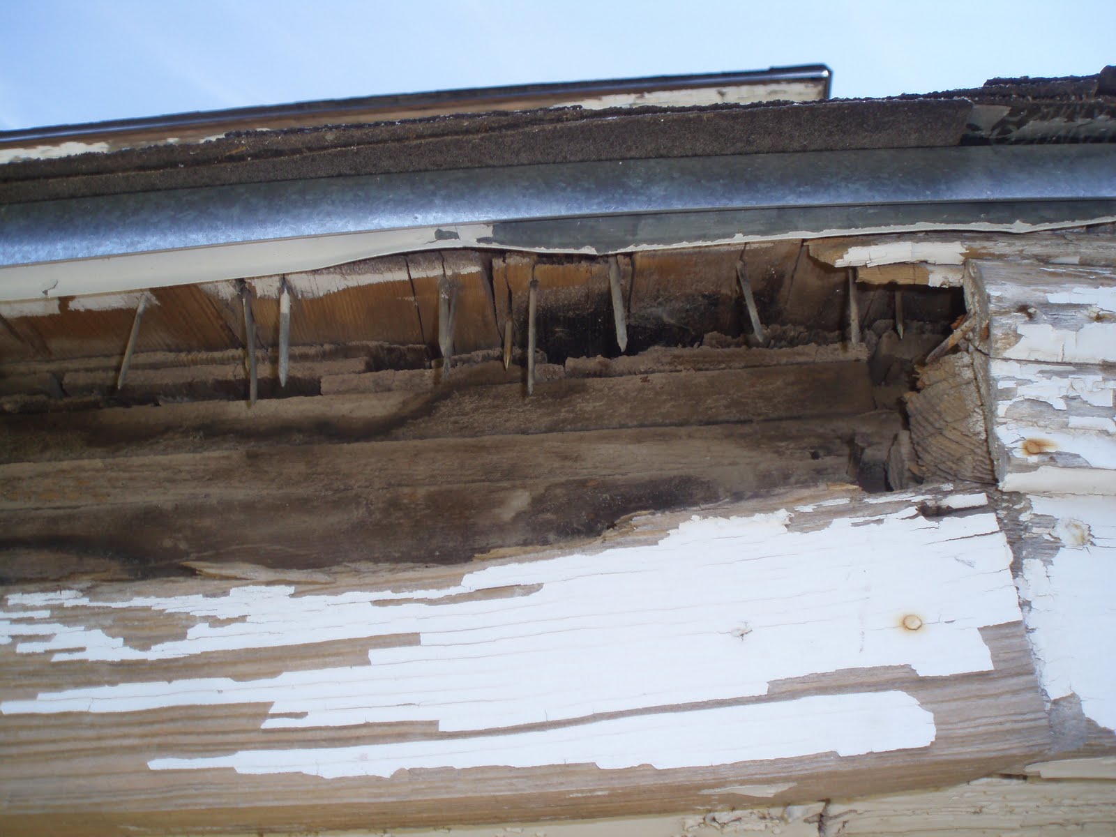 Simpson's Folly: Of Rot & Scaffolding