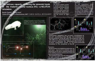 Neuroscience Blog: Neuroscience Poster Design