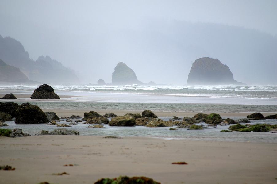 OTIS (Odd Things I've Seen): Haystack Rock