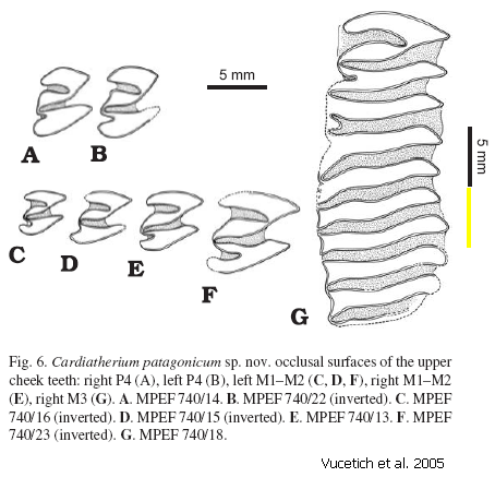 Gene Repórter: Elefante fóssil amazônico?