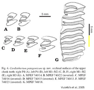 Gene Repórter: Elefante fóssil amazônico?