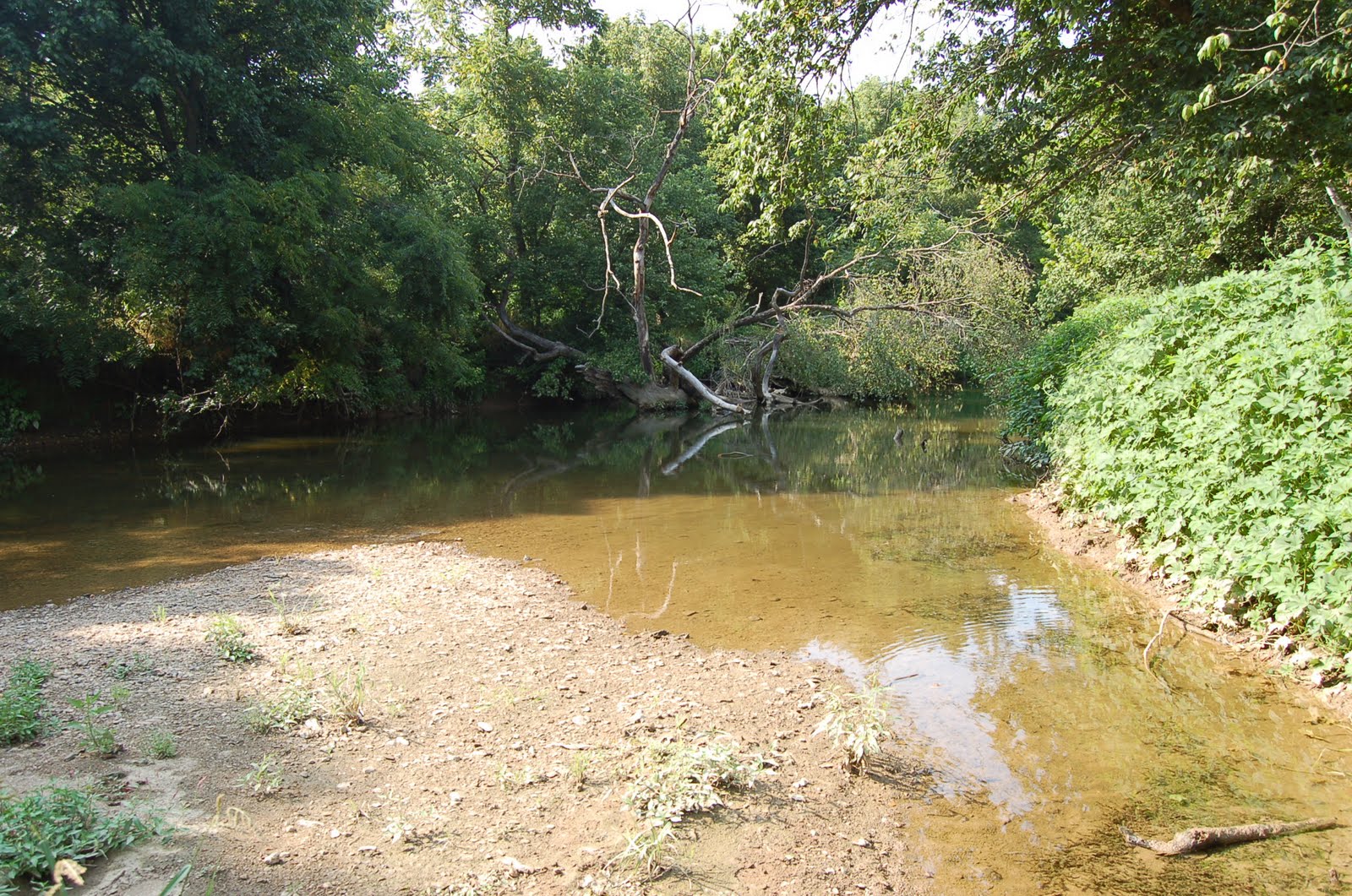 Rockhounding Adventures!: Montgomery County Streams