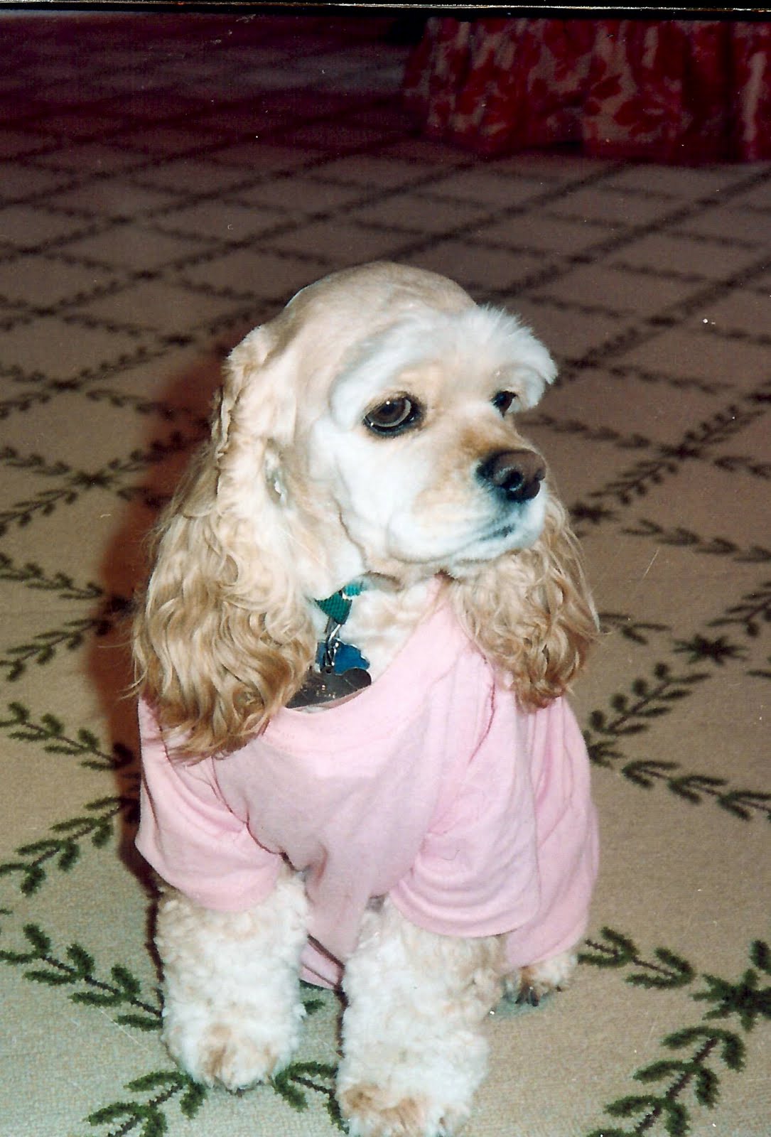 Glenn Plaskin's Reflections: 2010-04-25