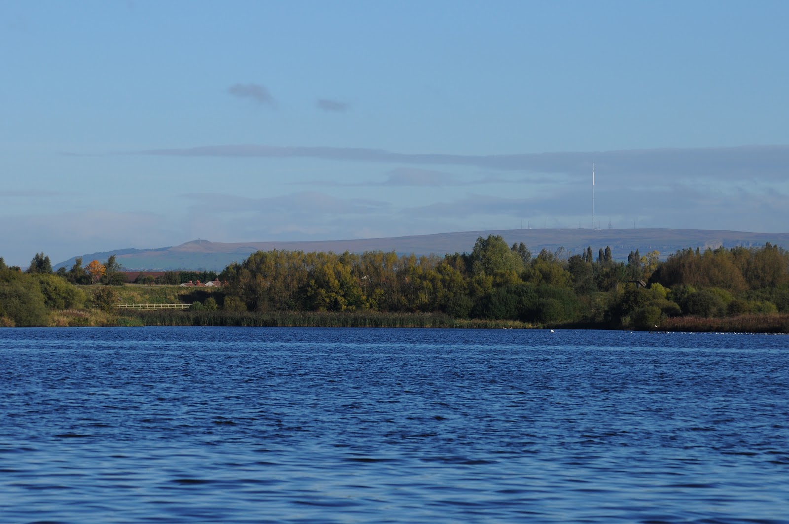 GeekTeacher's Birding Scrapbook: Pennington Flash, South Side