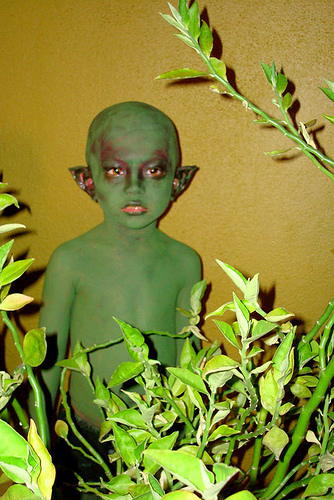 MAT SOM SADONA: TOYOL ASYIK KENA FITNAH