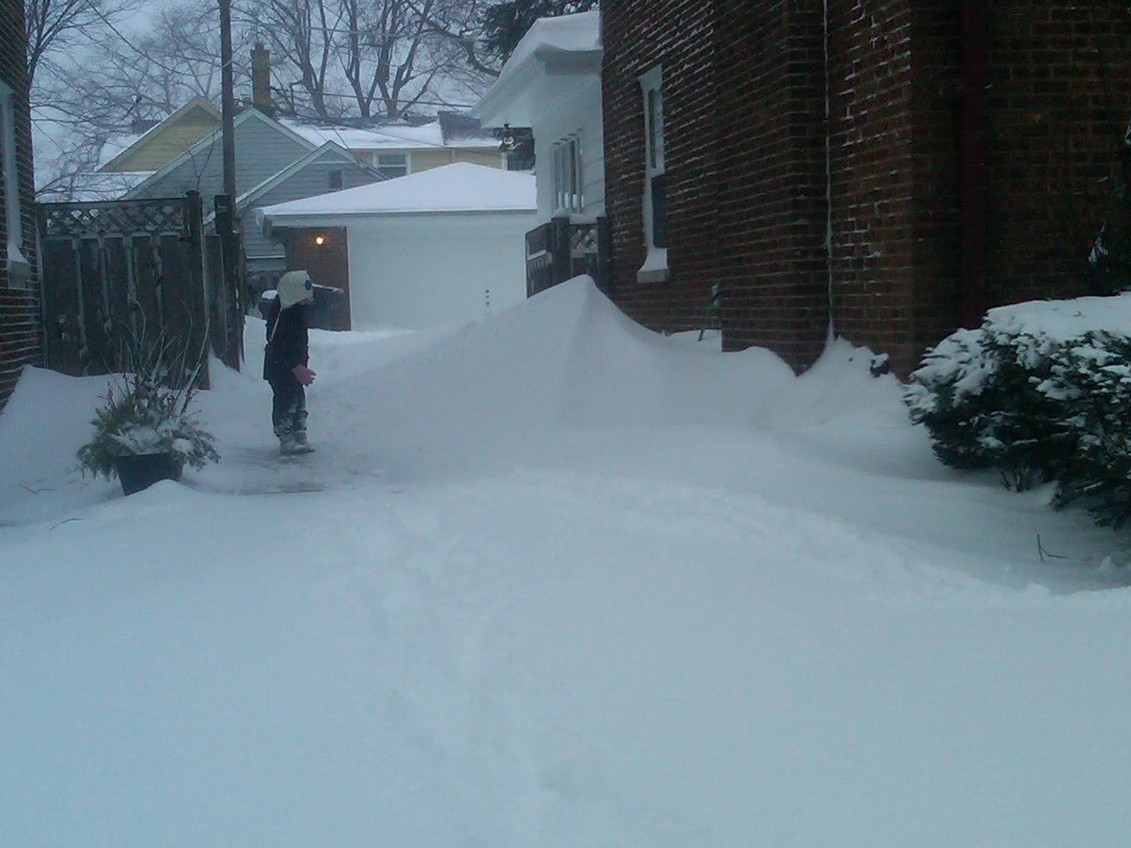 The Great Chicago Thunder Snow Storm of 2011: Pictures News and Links ...