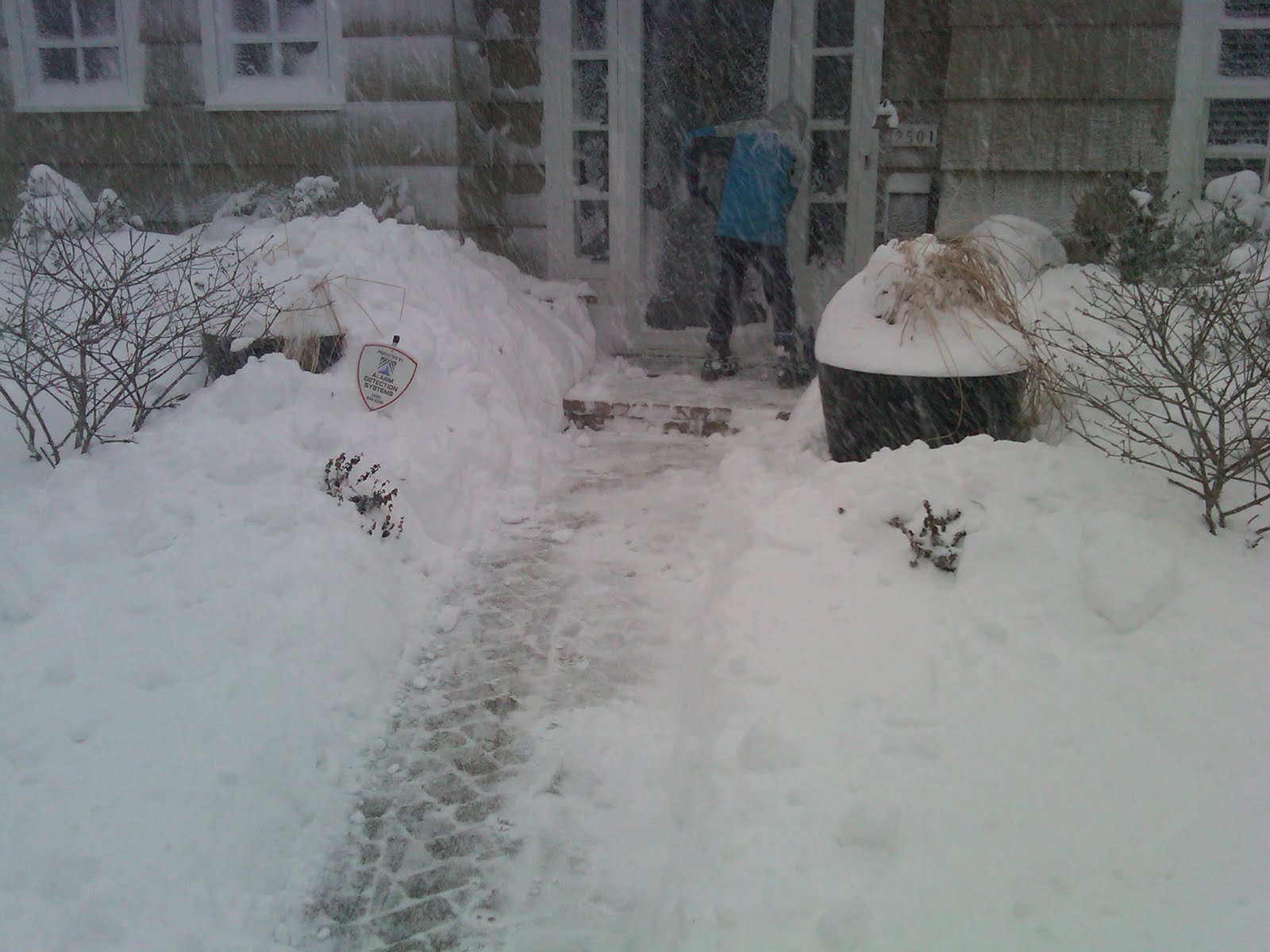 The Great Chicago Thunder Snow Storm of 2011: Pictures News and Links ...