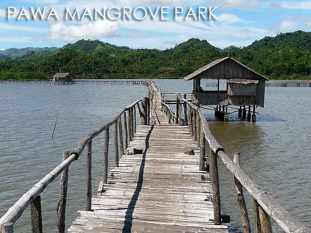 Masbate: Buntod Reef Marine Sanctuary, Pawa Mangrove Ecosystem & Bituon ...