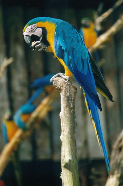 La Colina del Sol-blog: Rusk og blæst