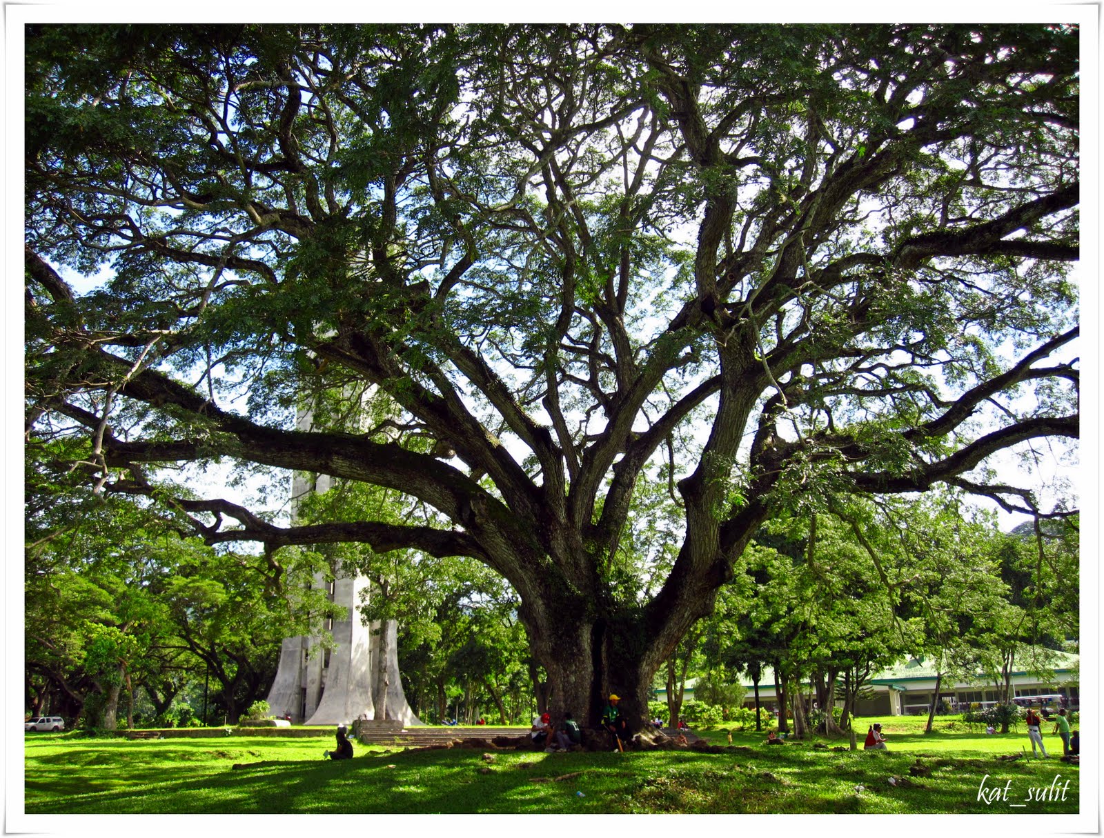 Kat's Musings: I Heart UPLB