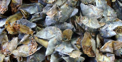 Meet the X-plorers: Dried Fish Market in Cebu