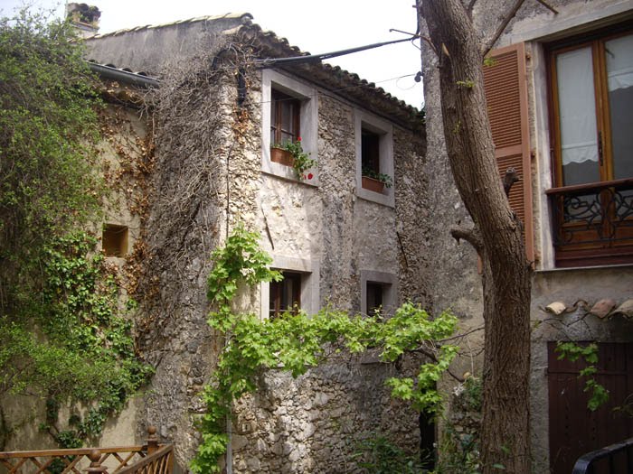 Photos et images de Nice: Falicon