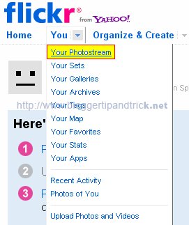 How To Add Flickr Photostream to Blogger | Blogger Tips and Tricks