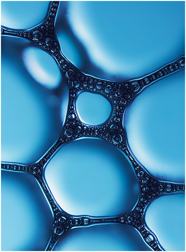 Natalie's Blog :): Macro Photography Examples