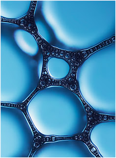 Natalie's Blog :): Macro Photography Examples