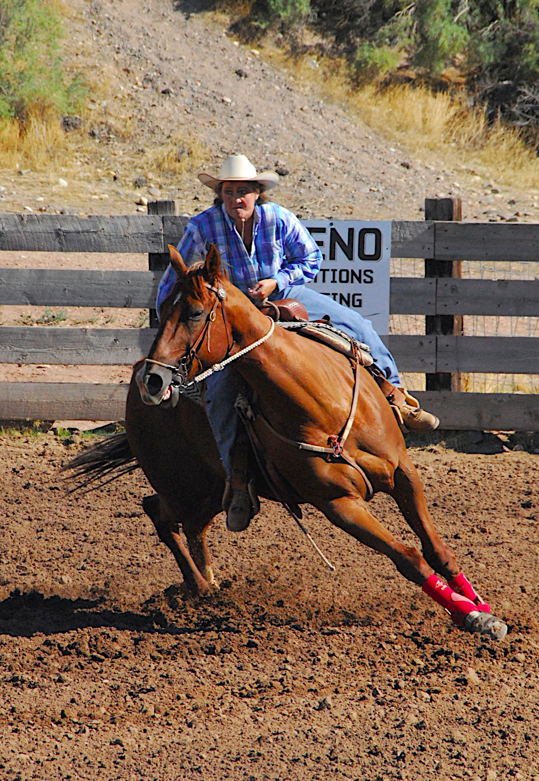 Here's to all about Fruita.: Photos, Rodeo August 24, Barrels,Broncs ...