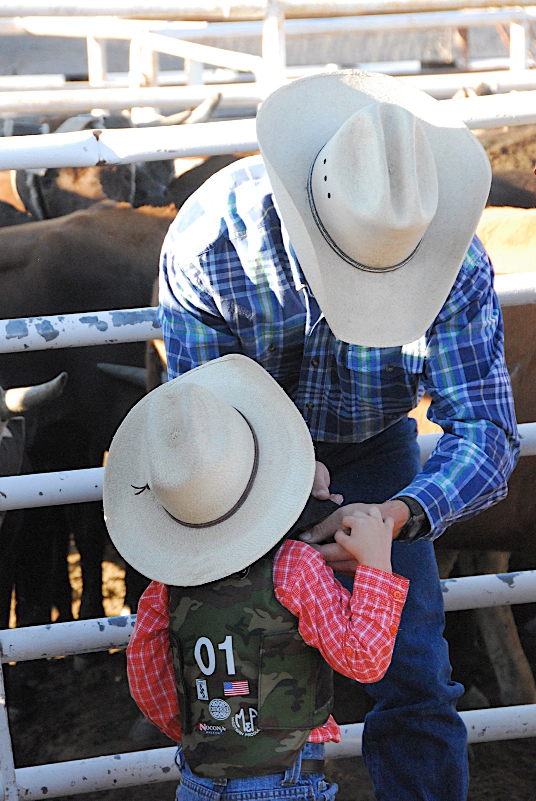Here's to all about Fruita.: Photos, Rodeo August 24, Barrels,Broncs ...