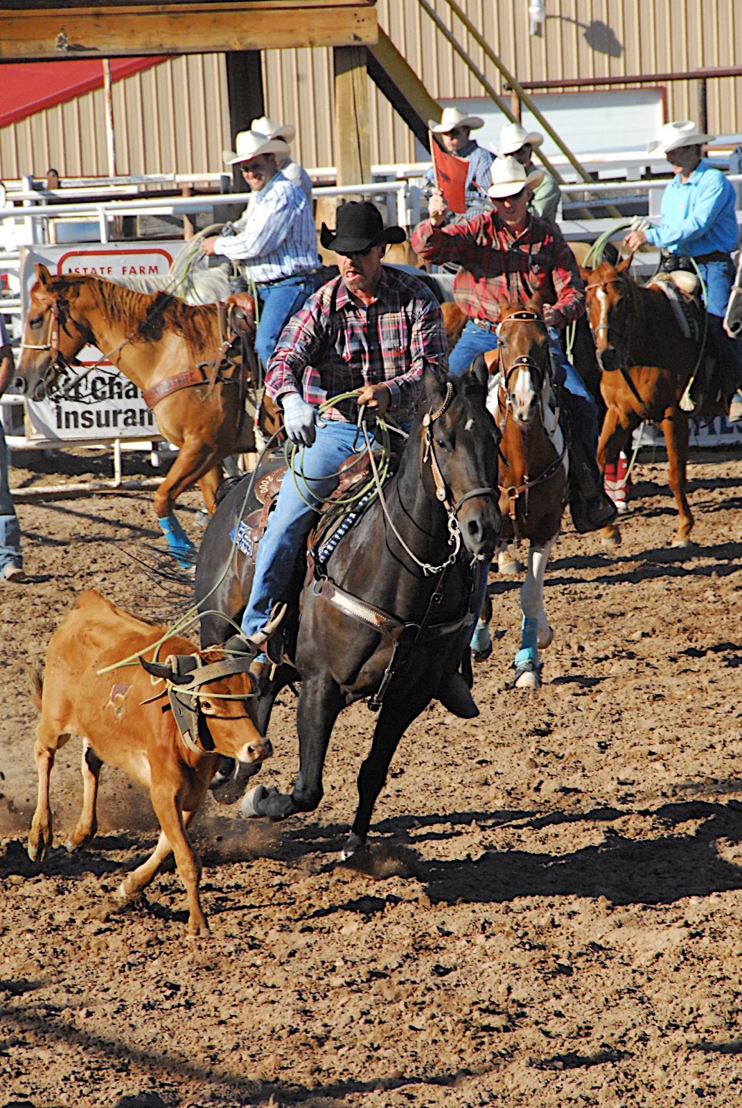 Here's to all about Fruita.: Photos, Rodeo August 24, Barrels,Broncs ...