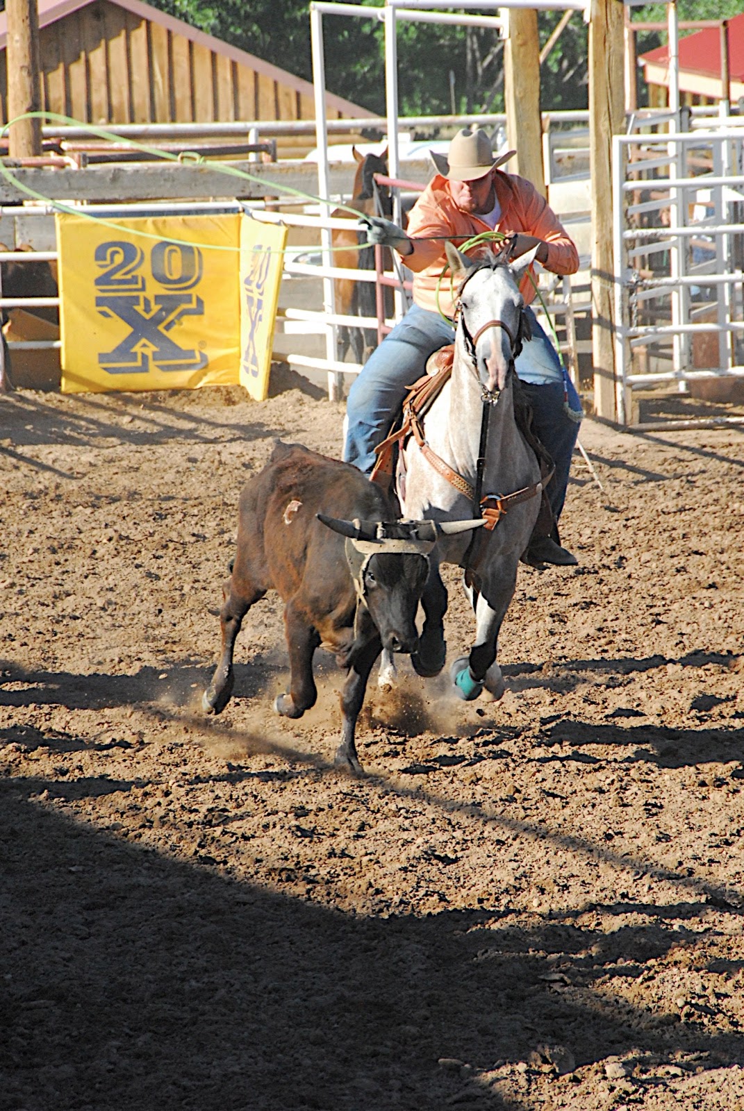 Here's to all about Fruita.: Photos, Rodeo August 24, Barrels,Broncs ...