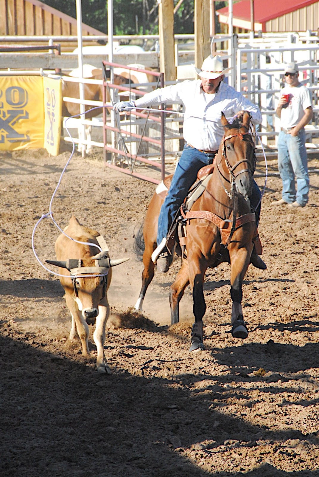 Here's to all about Fruita.: Photos, Rodeo August 24, Barrels,Broncs ...