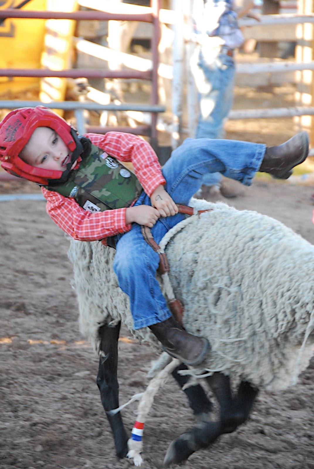 Here's to all about Fruita.: Photos, Rodeo August 24, Barrels,Broncs ...
