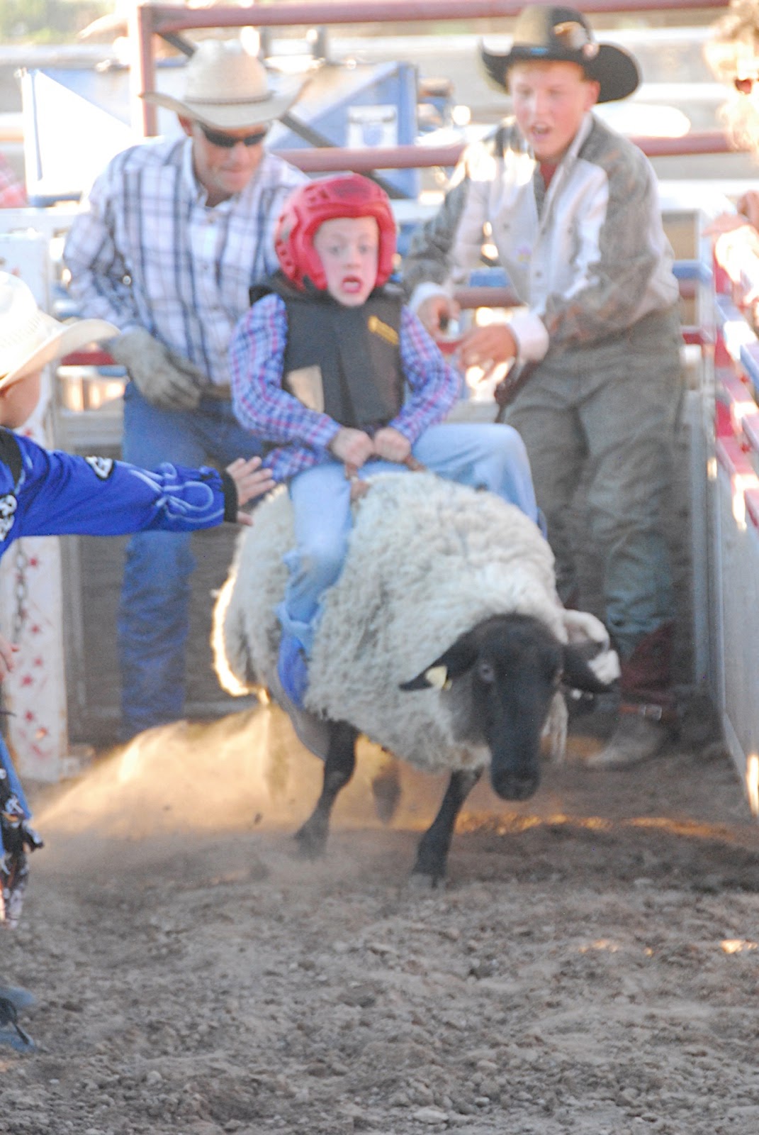 Here's to all about Fruita.: Photos, Rodeo August 24, Barrels,Broncs ...