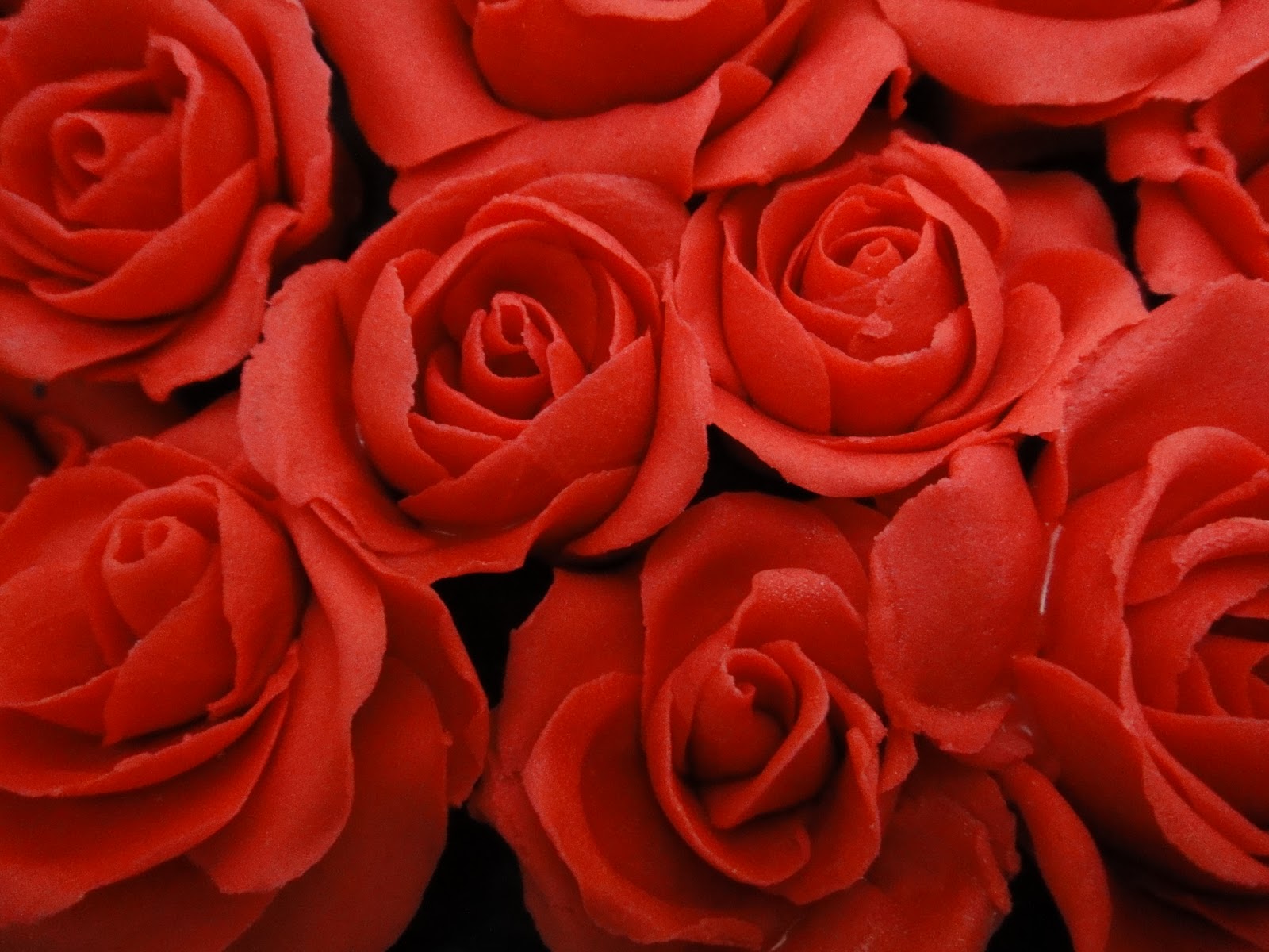 Rose Wallpaper Hd Tumblr For Walls for Mobile Phone widescreen for ...