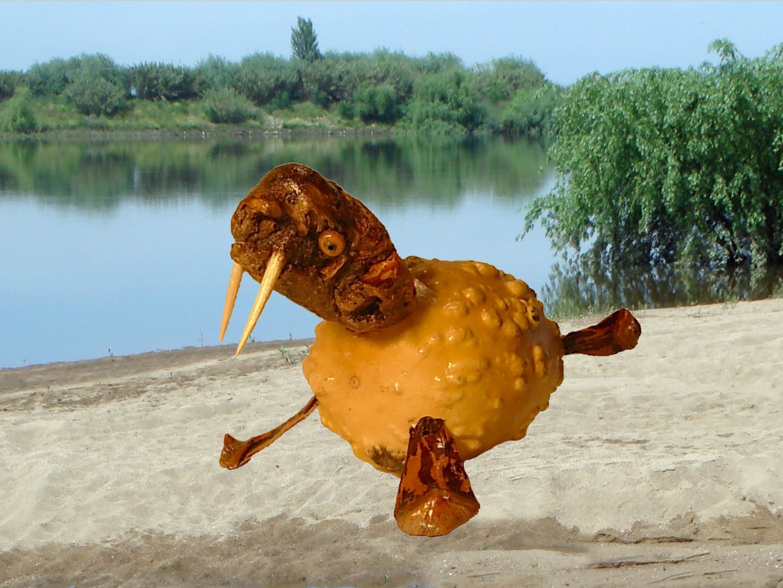 Madeira viva: Morsa-amarela / Morsa pré-histórica (2010) Yellow walrus ...