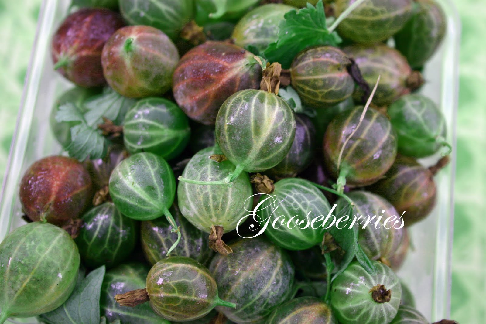 A FARMERS MARKET JOURNEY