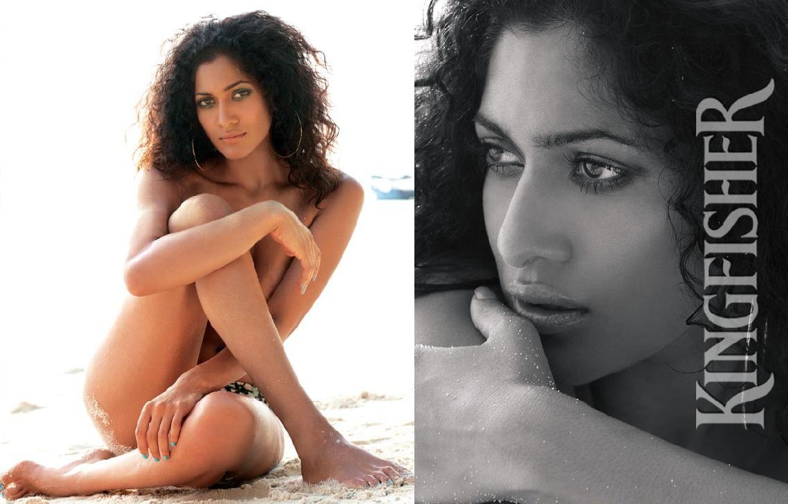 Kingfisher Models 2008