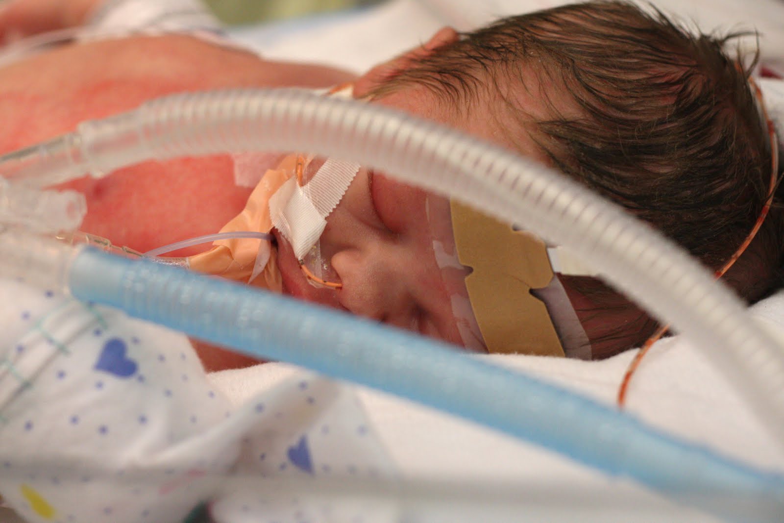 The Sexton 5: Introducing Luke Aaron!