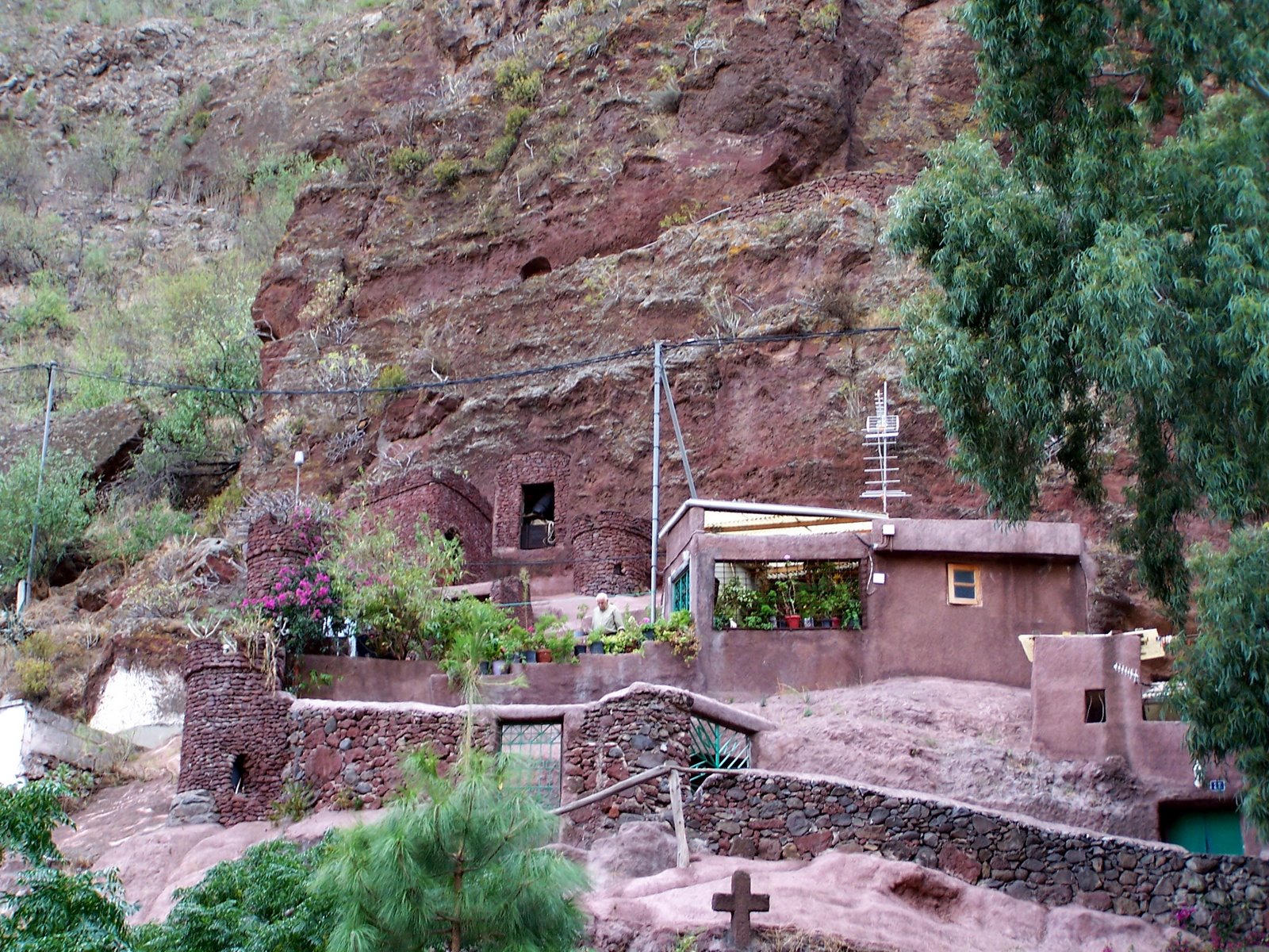 barranco+de+guayadeque (image)