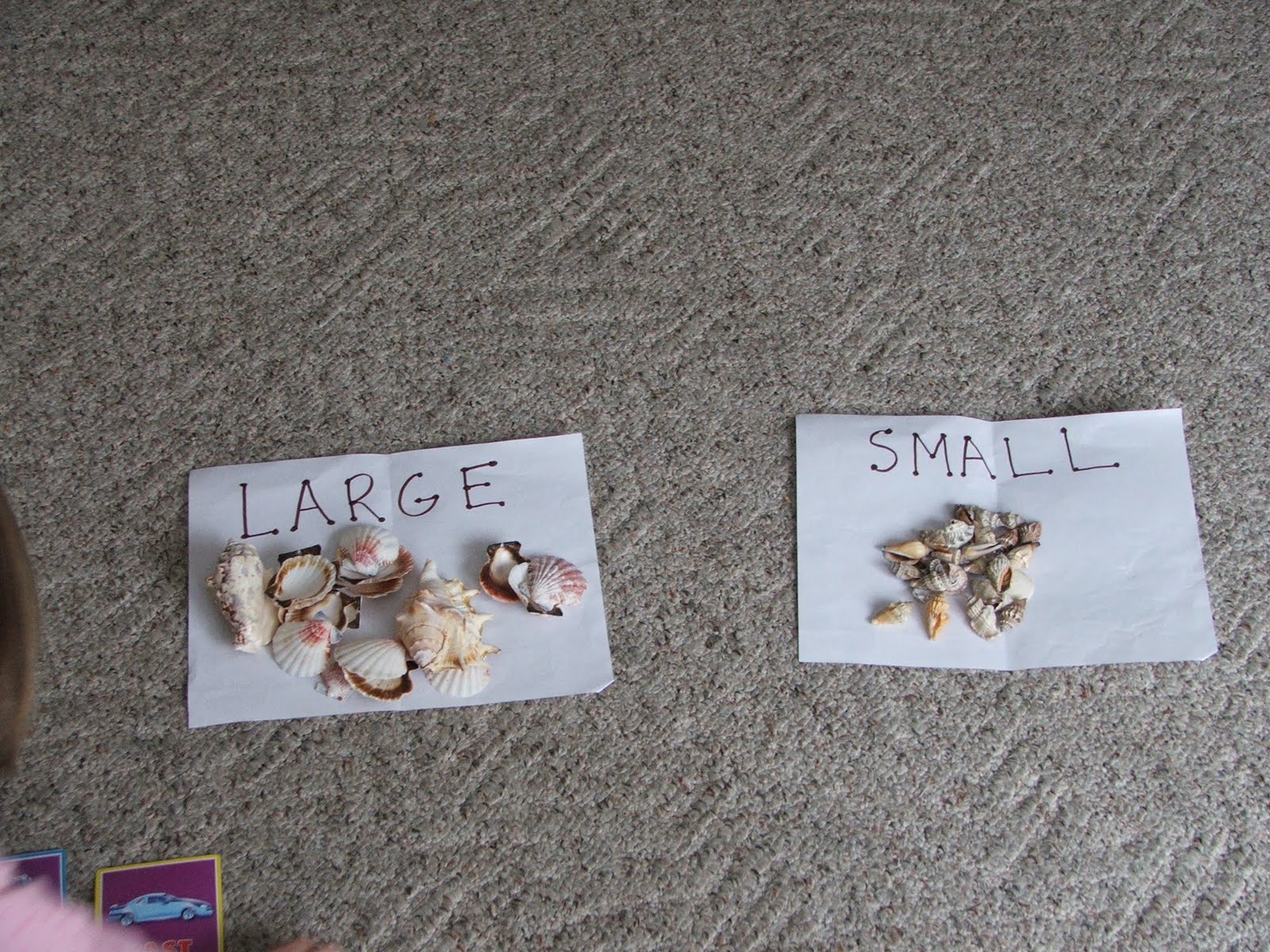 Parenting Beyond: Preschool - O is for Ocean