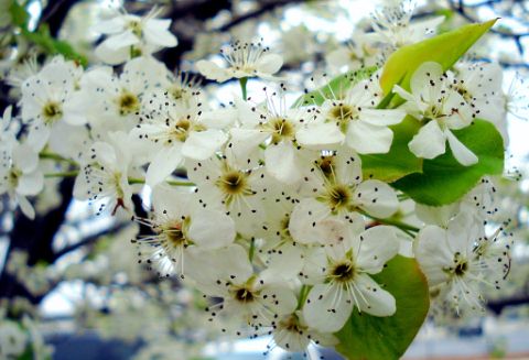 Beautiful photography: Amazing spring photography