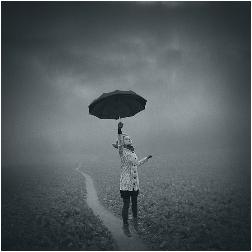 Beautiful photography: Amazing Rain Photography Part 4