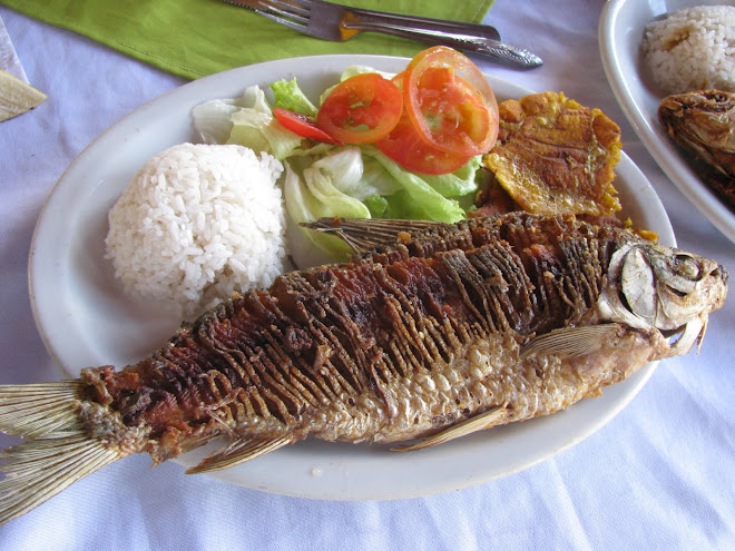 COMIDAS TIPICAS CHOCOANA