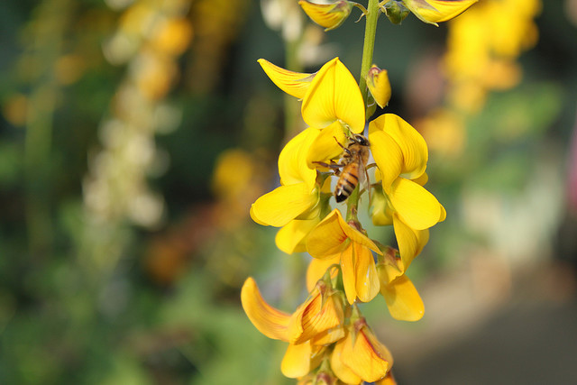 Juancar153´s Blog - Conocimientos Compartidos: El Salvador busca ...