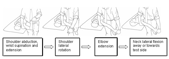 Neurodynamics - Physical neural health: Reflections on the Upper Limb ...