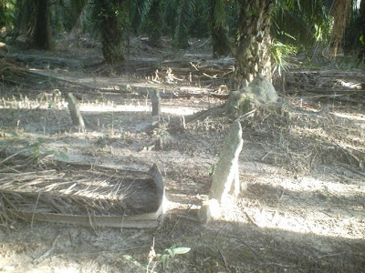 SENI LAMA MELAYU (MALAY OLDEN ART): Kubur-kubur di Jalan Penarikan ...