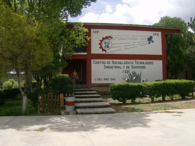 CBTis 221: CBTis 221