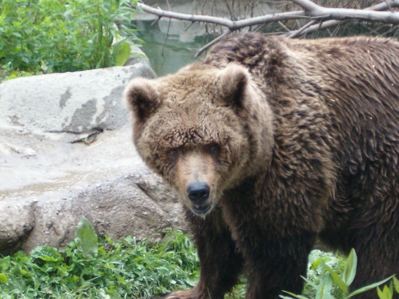 Packer Players: Haiku with Green Bay Packers Korey Hall