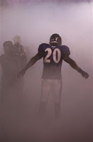 Football with Jo the Sho: Ed Reed VS Troy Polamalu WHO WILL WIN